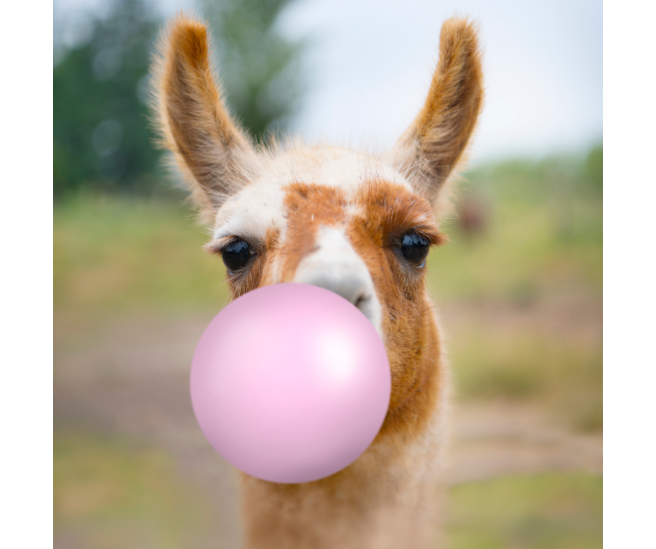 Bursted? Busted! - Editor Nancy